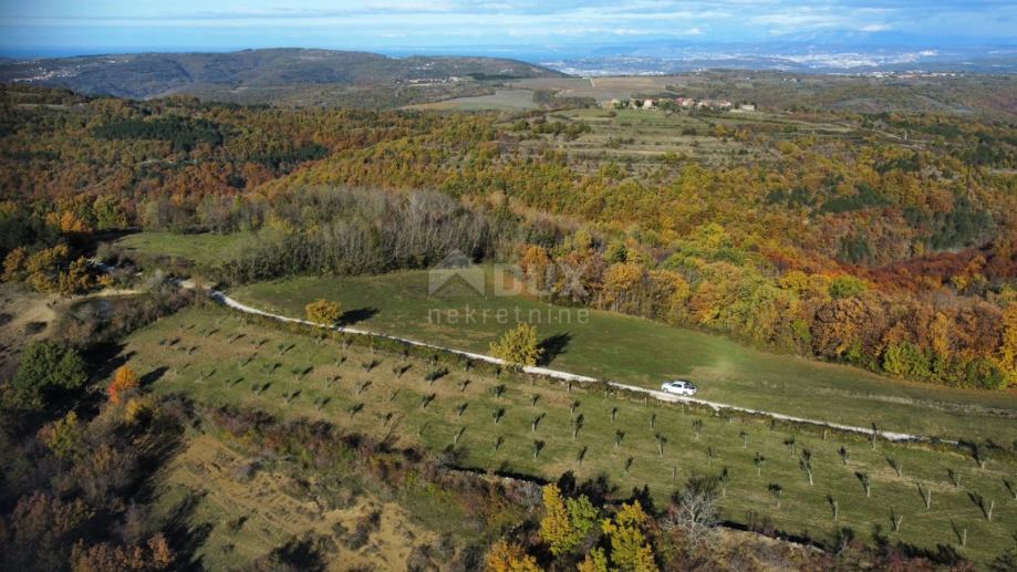 ISTRA, MOMJAN - Zemljište na predivnoj mirnoj lokaciji