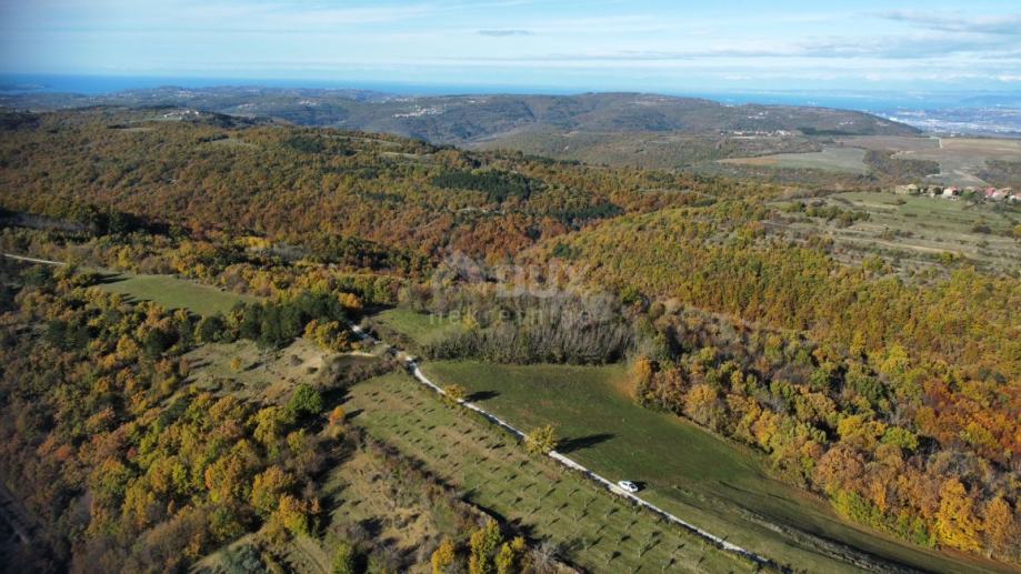 ISTRA, MOMJAN - Zemljište na predivnoj mirnoj lokaciji