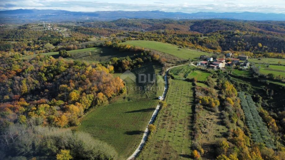 ISTRA, MOMJAN - Zemljište na predivnoj mirnoj lokaciji