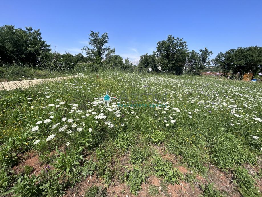 Istra , Rovinj , pasnjak 502m2 , voda do parcele