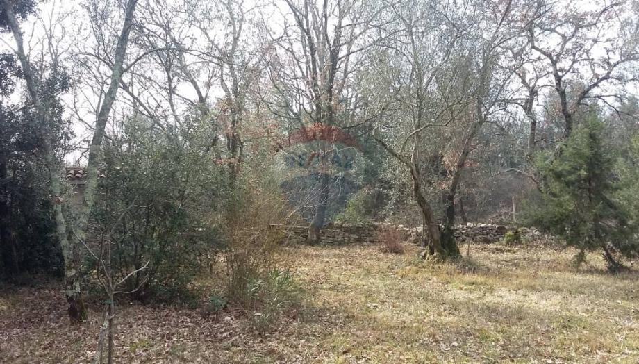 Istra, Tar - Vabriga, građevinska parcela turističke namjene 300 m od