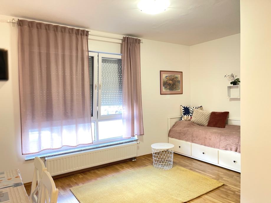 Iznajmljivanje stana (iznajmljivanje)