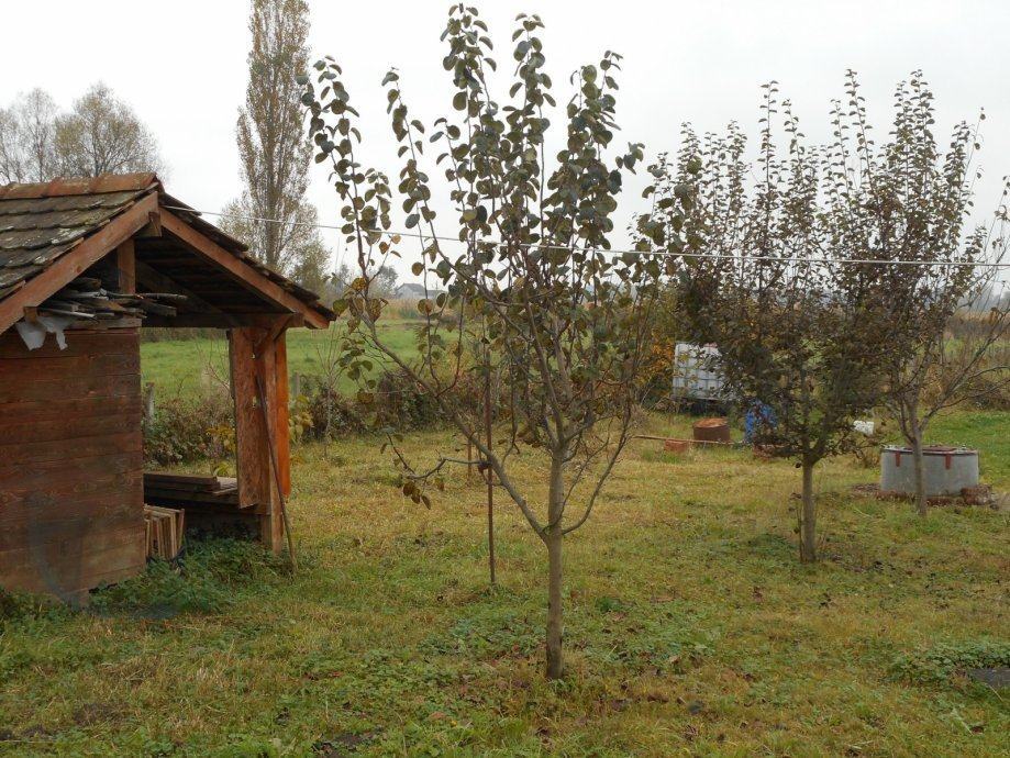 JEŽEVO - kuća za rušenje,1/1 bez tereta,sa svim priključcima,4852m2 ...