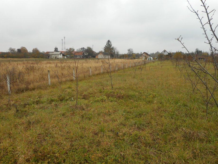 JEŽEVO - kuća za rušenje,1/1 bez tereta,sa svim priključcima,4852m2 ...