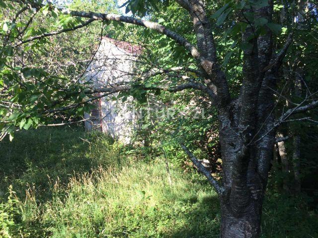 Krivi put, Senj, 13 km od mora, samostojeća kuća s okućnicom (prodaja)