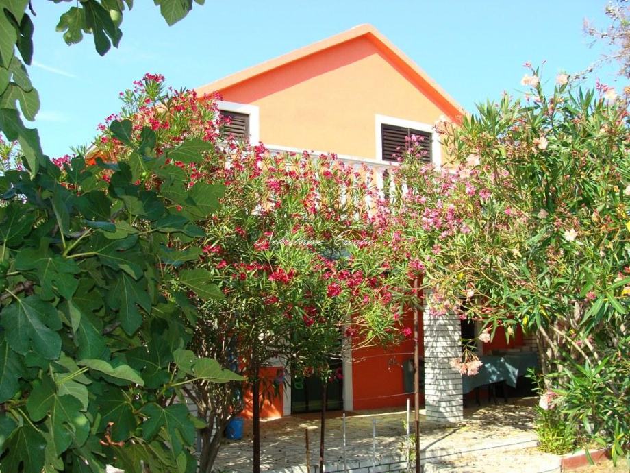 VIR: 168 m2, sniženo!!! (prodaja)