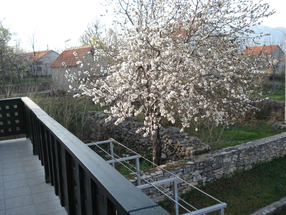 Kuća: Cista Provo, 100.00 m2 (prodaja)
