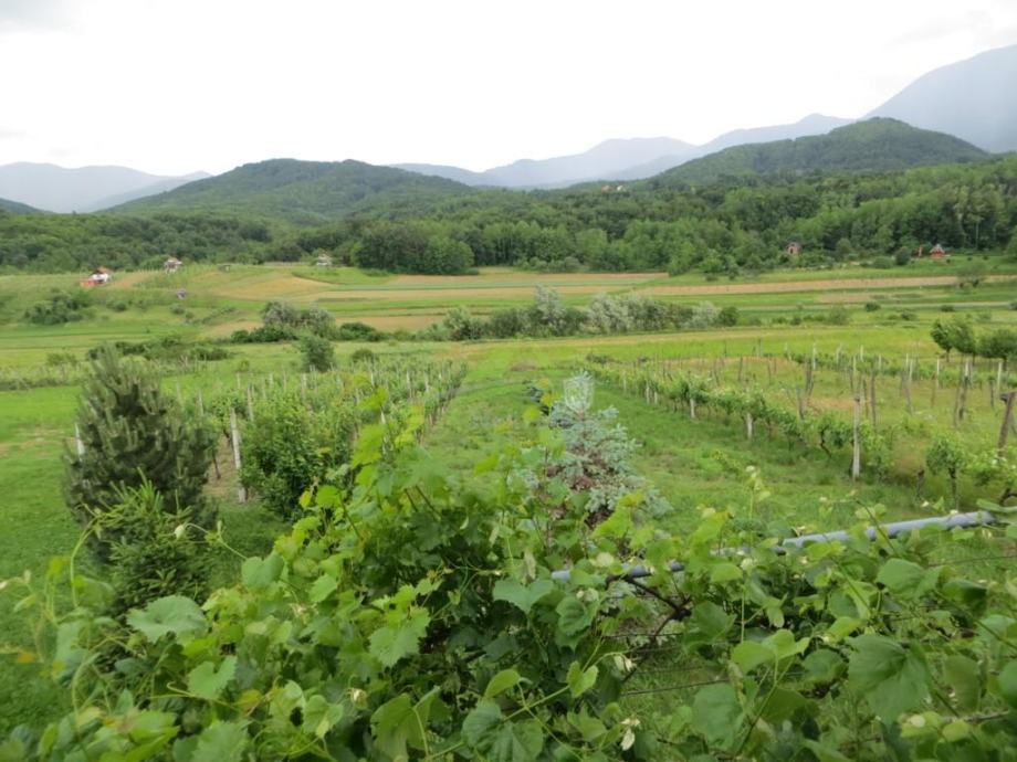 SNIŽENO! Kuća za odmor 40 m2! Ivanec - Punikve! (prodaja)