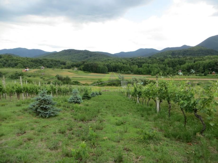 SNIŽENO! Kuća za odmor 40 m2! Ivanec - Punikve! (prodaja)