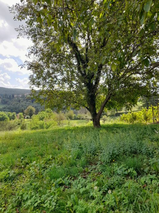 VIKENDICA NA ATRAKTIVNOJ LOKACIJI / KORADOVICA