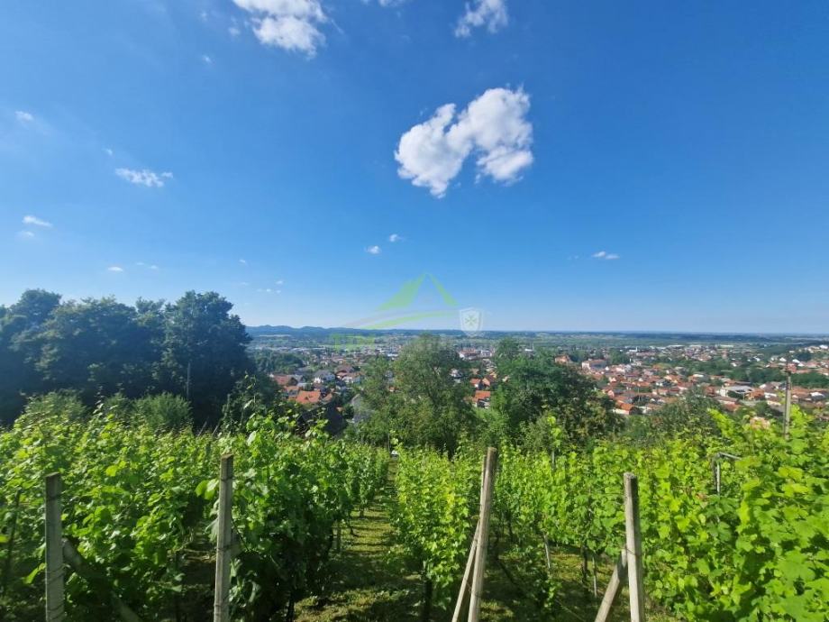 Kuća za odmor sa vinogradom te panoramskim pogledom na grad Ivanec!