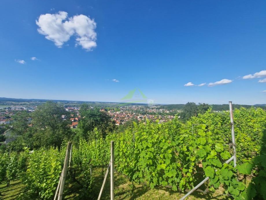 Kuća za odmor sa vinogradom te panoramskim pogledom na grad Ivanec!