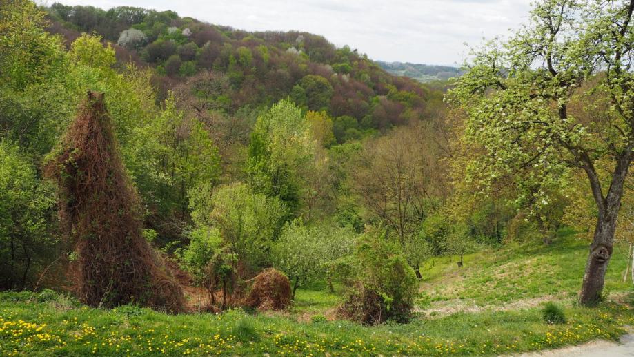 Kuća: Poljanica Bistrička, katnica, 200 m2, mir&priroda i društvo (prodaja)