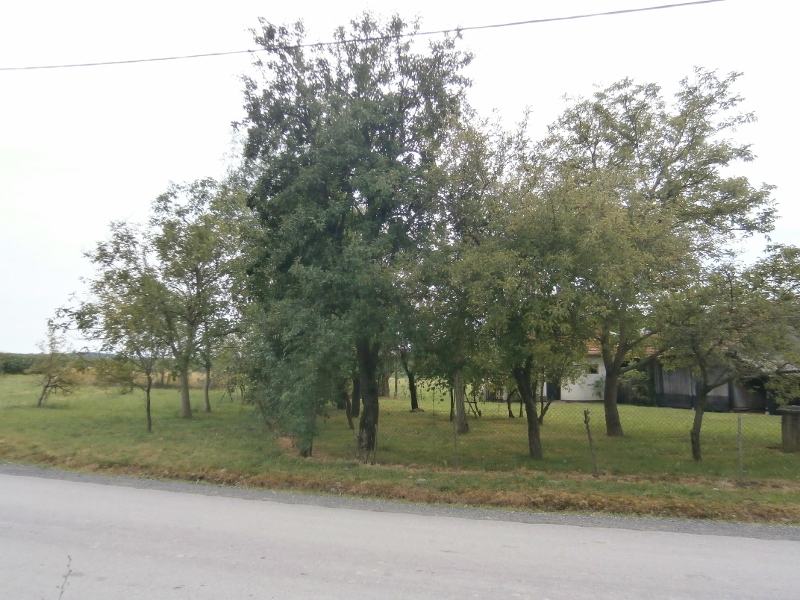 Kuća: Poljanski Lug, prizemnica, 87 m2 (prodaja)