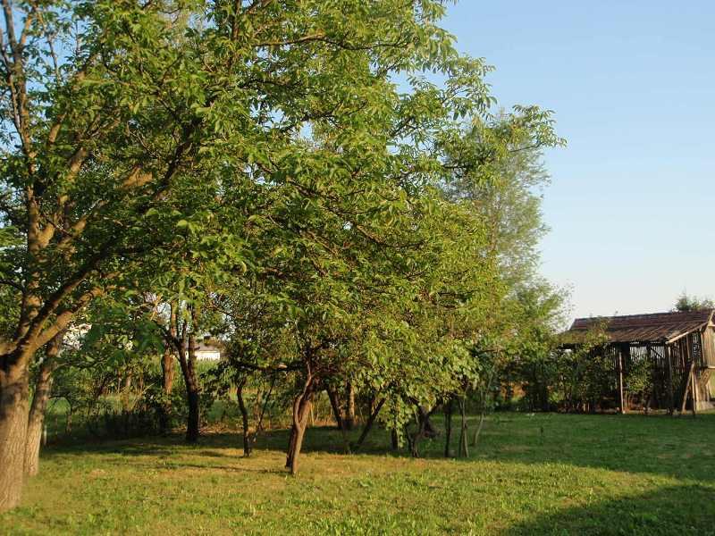 Kuća: Poljanski Lug, visoka prizemnica, 87m2,povoljno (prodaja)