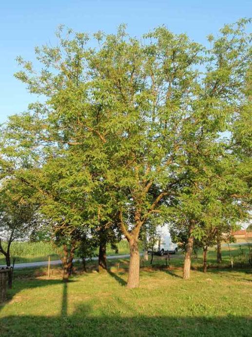 Kuća: Poljanski Lug, visoka prizemnica, 87m2,povoljno (prodaja)