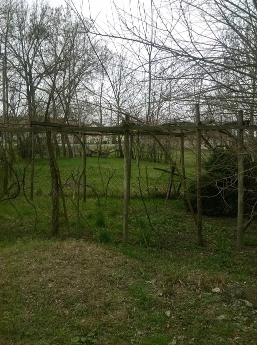Kuća: Selci Đakovački, prizemnica, 150 m2 (prodaja)