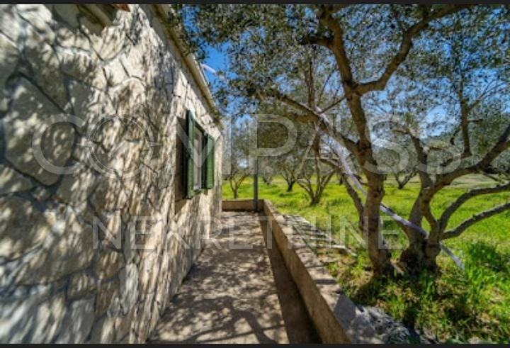 Prekrasna kuća u masliniku, Stari Grad, Hvar (prodaja)