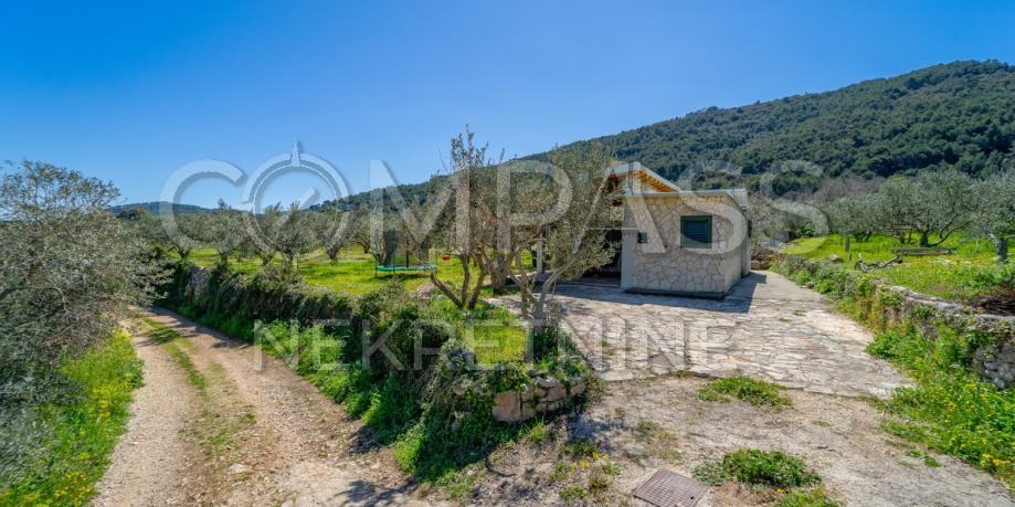 Prekrasna kuća u masliniku, Stari Grad, Hvar (prodaja)