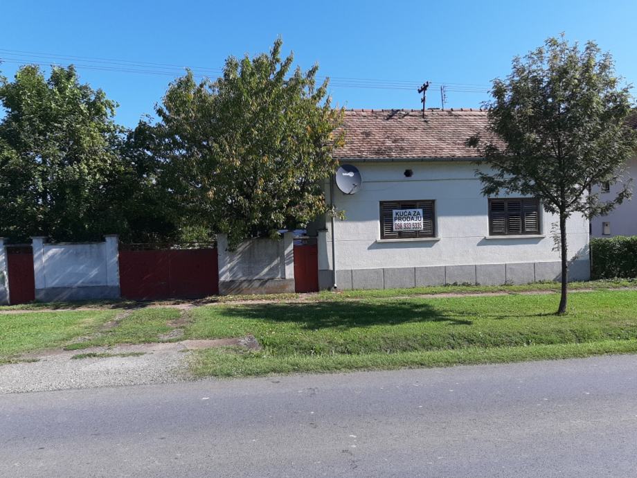 Kuća: Trnjani, prizemnica, 100.00 m2, 4000 m2 okućnice, 200 m2 objekta ...