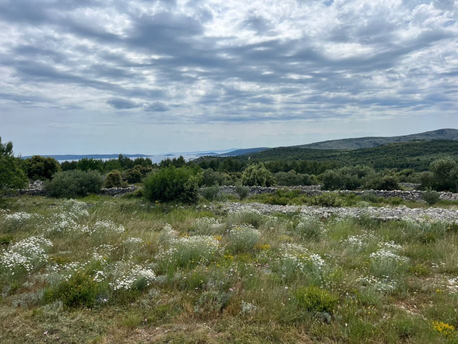 Vrsine, Marina -KUĆA U OAZI MIRA I PRIRODE S POGLEDOM NA MORE (prodaja)