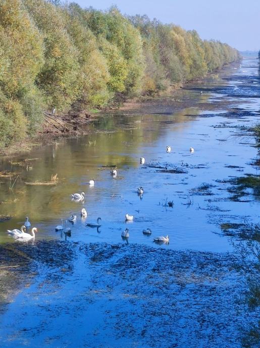 Kvalitetna kuća za obitelj koja voli aktivnosti na otvorenom i prirodu ...