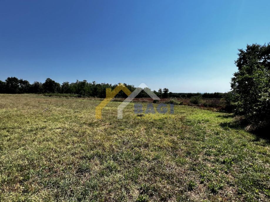 MARČANA - Lijepe parcele u prirodi blizu kuća