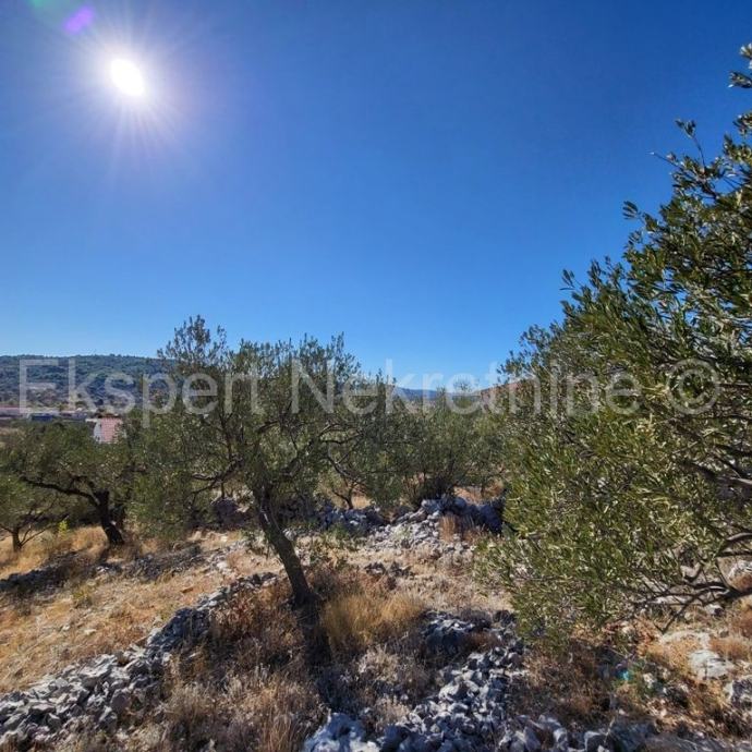 Marina,Vrsine,poljoprivredno zemljište 4704 m2,maslinik,put,blizu građ