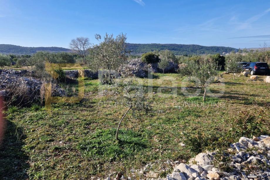 Maslinik uz pristupni put, Bilice, 384 m2
