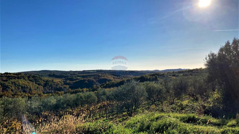 Momjan okolica, autohtono istarsko imanje (prodaja)