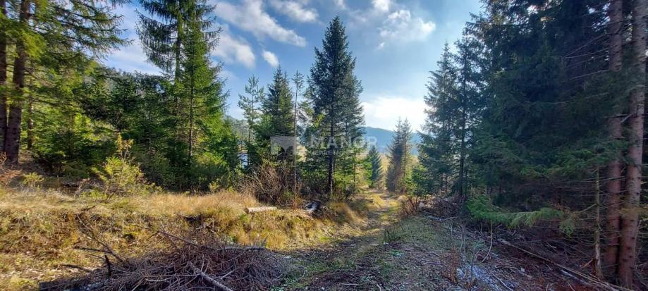 MRKOPALJ, SUNGER - Građevinsko zemljište, 5650 m2