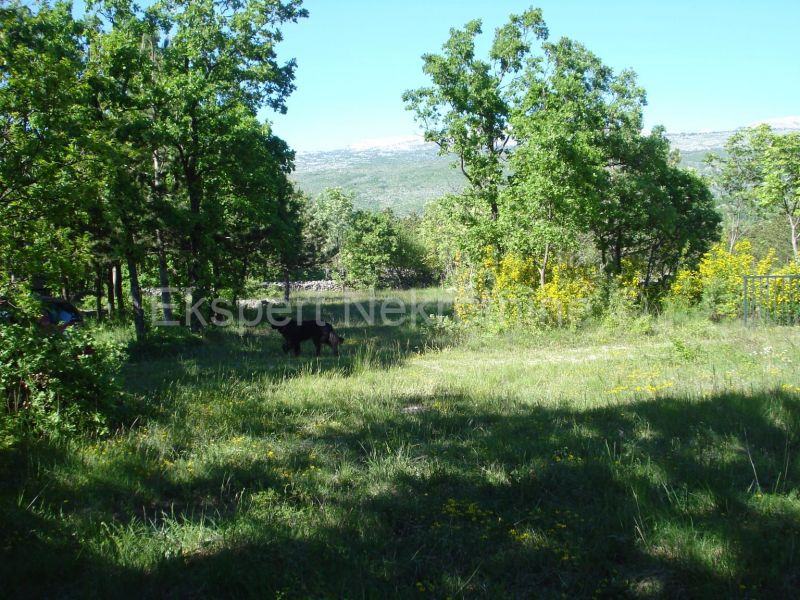 Muć, Ogorje kuća 75 m2 sa okućnicom 3230 m2, mir i opuštanje (prodaja)