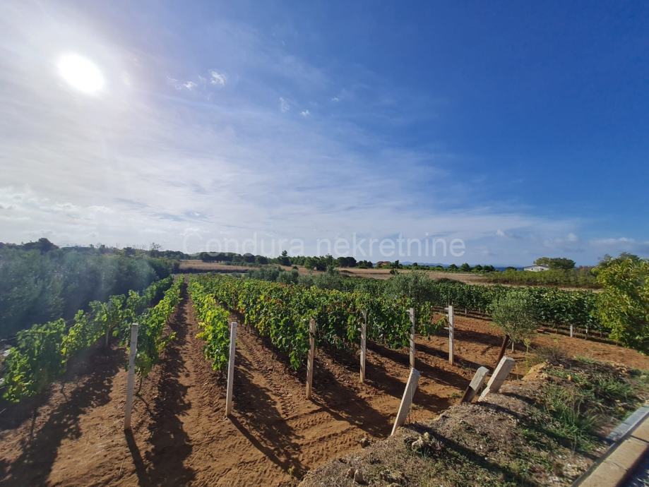 Nin, Bilotinjak - turističko zemljište 1021 m2