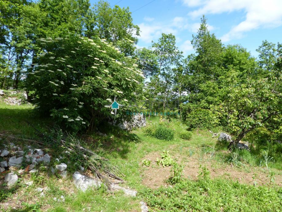 Opatija, Veprinac, samostojeća kuća, 72 m2 s okućnicom od 1.522 m2 ...