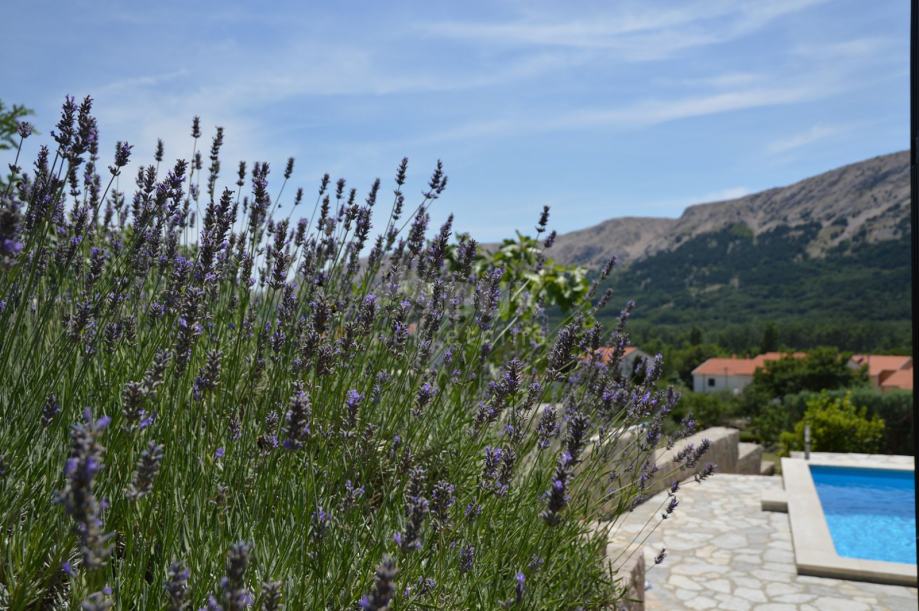 OTOK KRK, BAŠKA - Predivna kuća s bazenom i pogledom na more (prodaja)