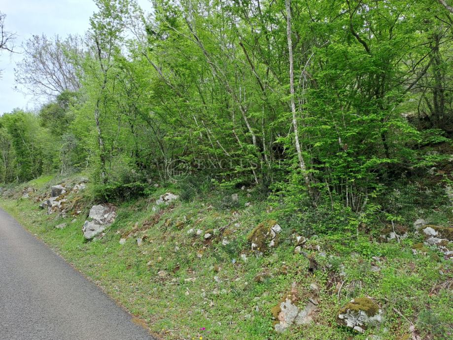 Otok Krk, Skrpčići pokljoprivredno zemljište (šuma) 7927 m2