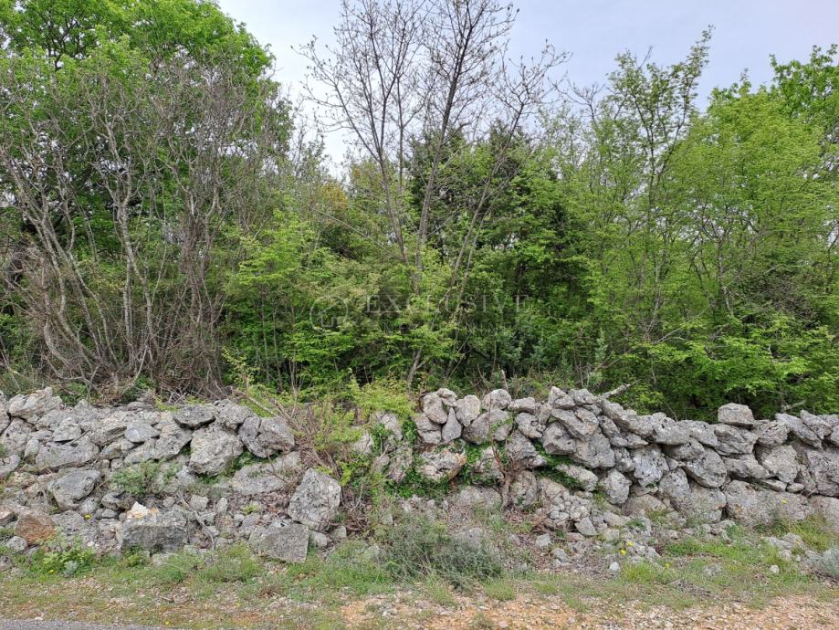 Otok Krk, Skrpčići pokljoprivredno zemljište (šuma) 7927 m2