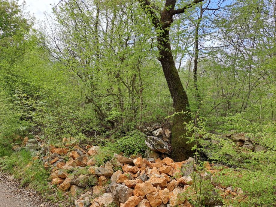 Otok Krk, Skrpčići pokljoprivredno zemljište (šuma) 7927 m2