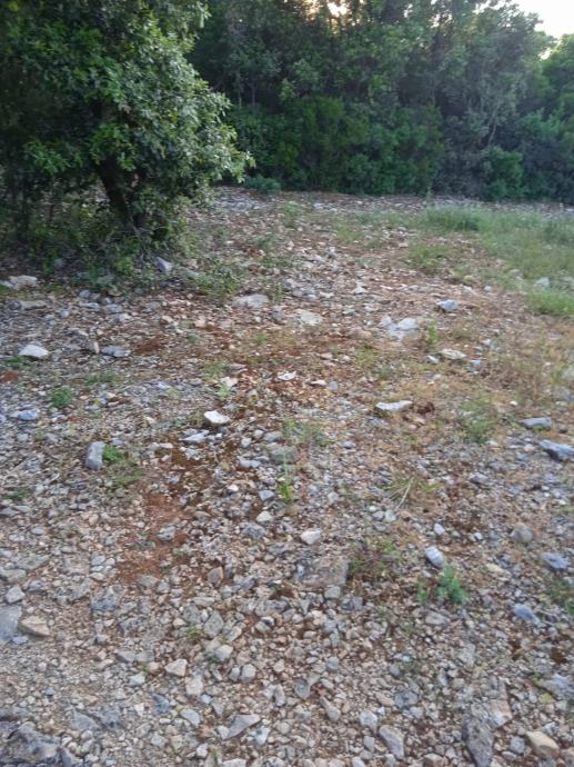 Poljoprivredno zemljište, Peruški, 1021 m2, Istra