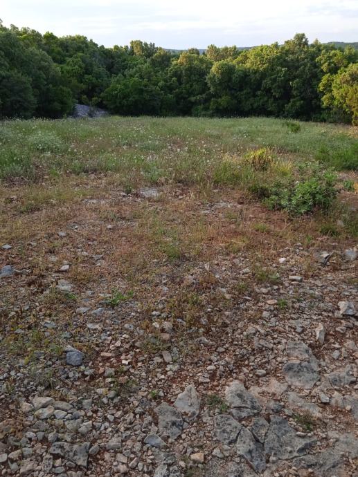 Poljoprivredno zemljište, Peruški, 1021 m2, Istra