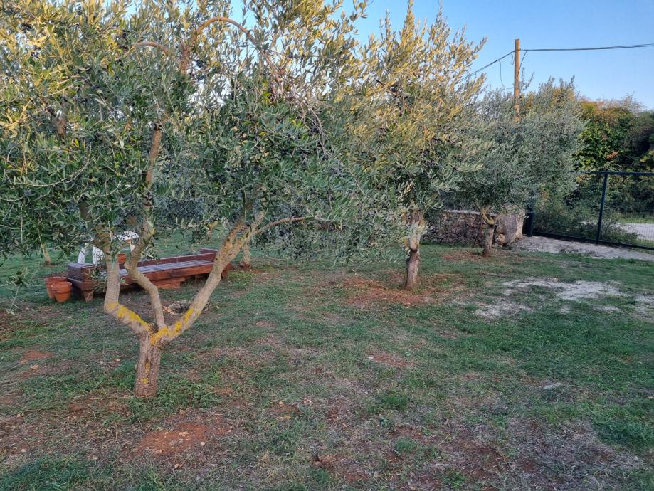 Poljoprivredno uređeno vikend zemljište, Pomer, 840 m2 Poljoprivredno uređeno vikend zemljište, Pomer, 840 m2