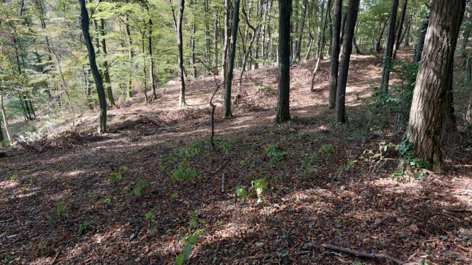 Poljoprivredno zemljište, Rakov Potok, 812 m2