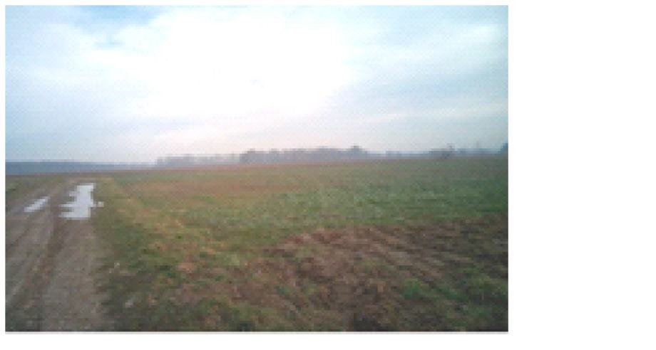 Poljoprivredno zemljište, Selci Đakovački, 11509 m2