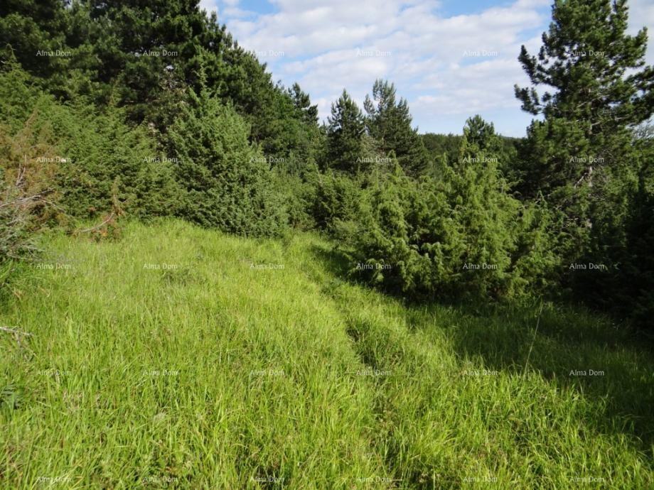 Poljoprivredno zemljište Prodaja poljoprivrednog zemljišta, Brest, Lan