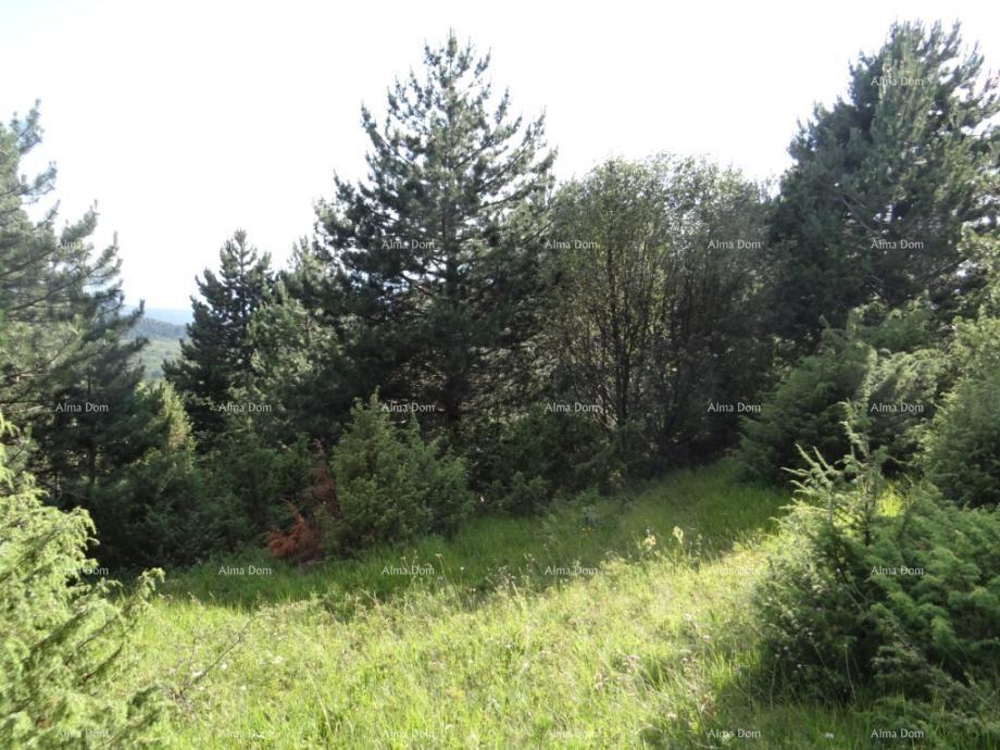 Poljoprivredno zemljište Prodaja poljoprivrednog zemljišta, Brest, Lan