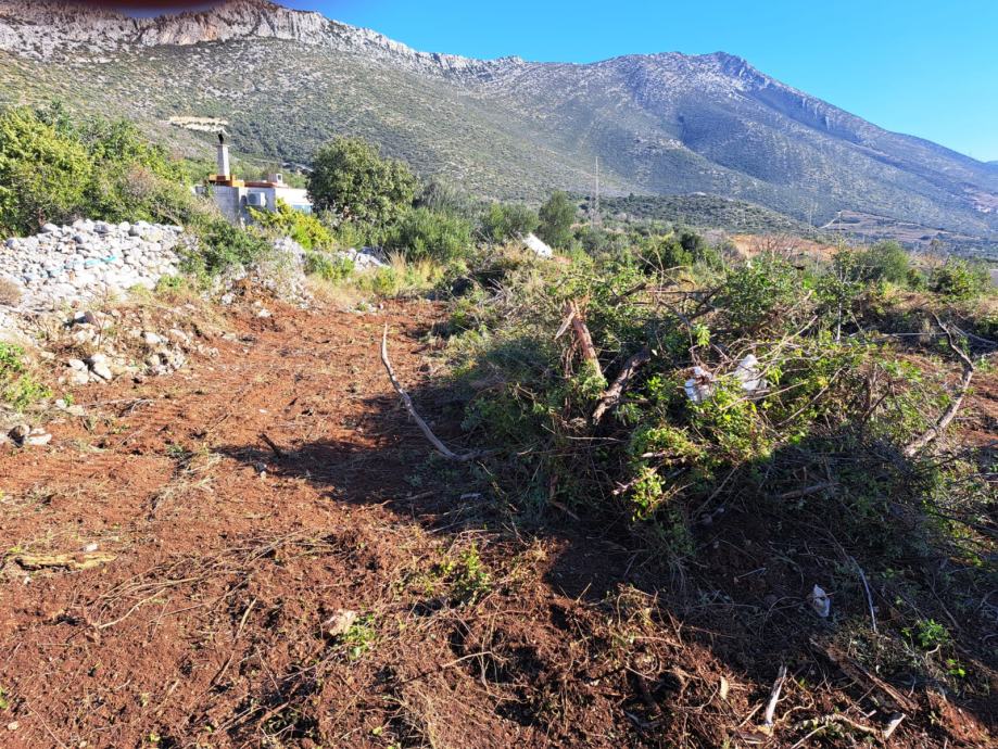 Poljoprivredno zemljište, Stanković, 3500 m2