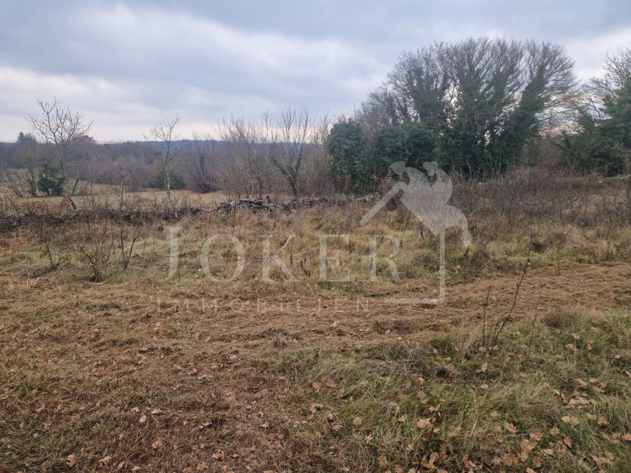 Poljoprivredno Zemljište Tinjan
