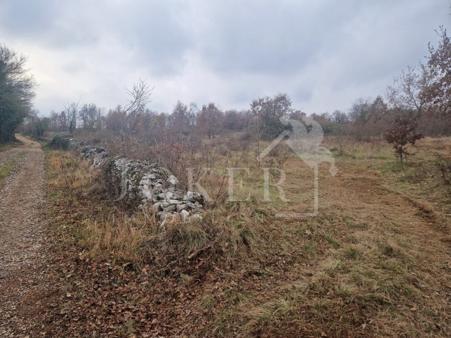 Poljoprivredno Zemljište Tinjan