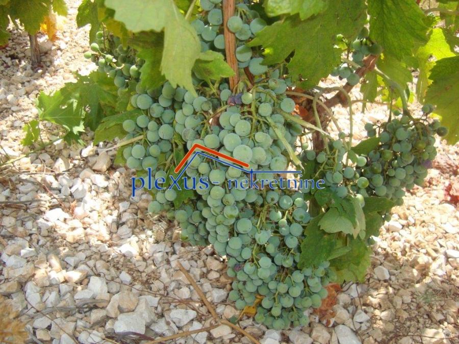 Poljoprivredno zemljište: Trogir - 1.489 m2, 23.000 eura fixno