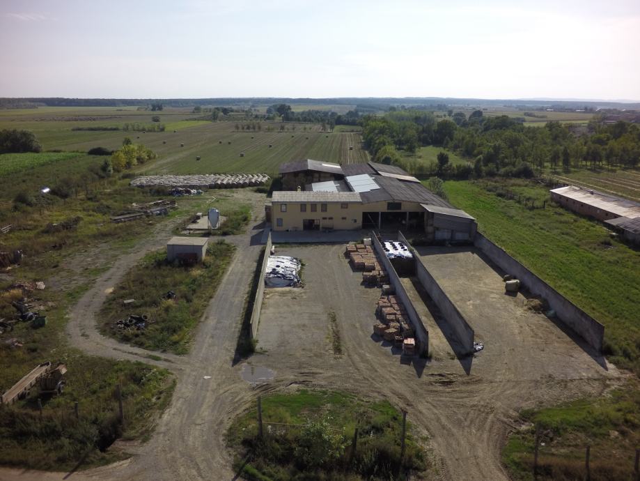 Poslovni prostor: Govedarska farma u Selci Đakovački, 11.370 m2 (prodaja)